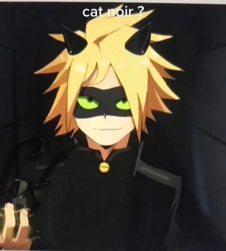 MHA x Miraculous [Not made by me] | Fandom