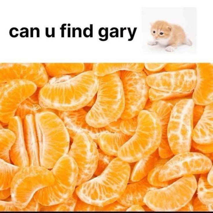 Currently omw to 1k posts | Fandom