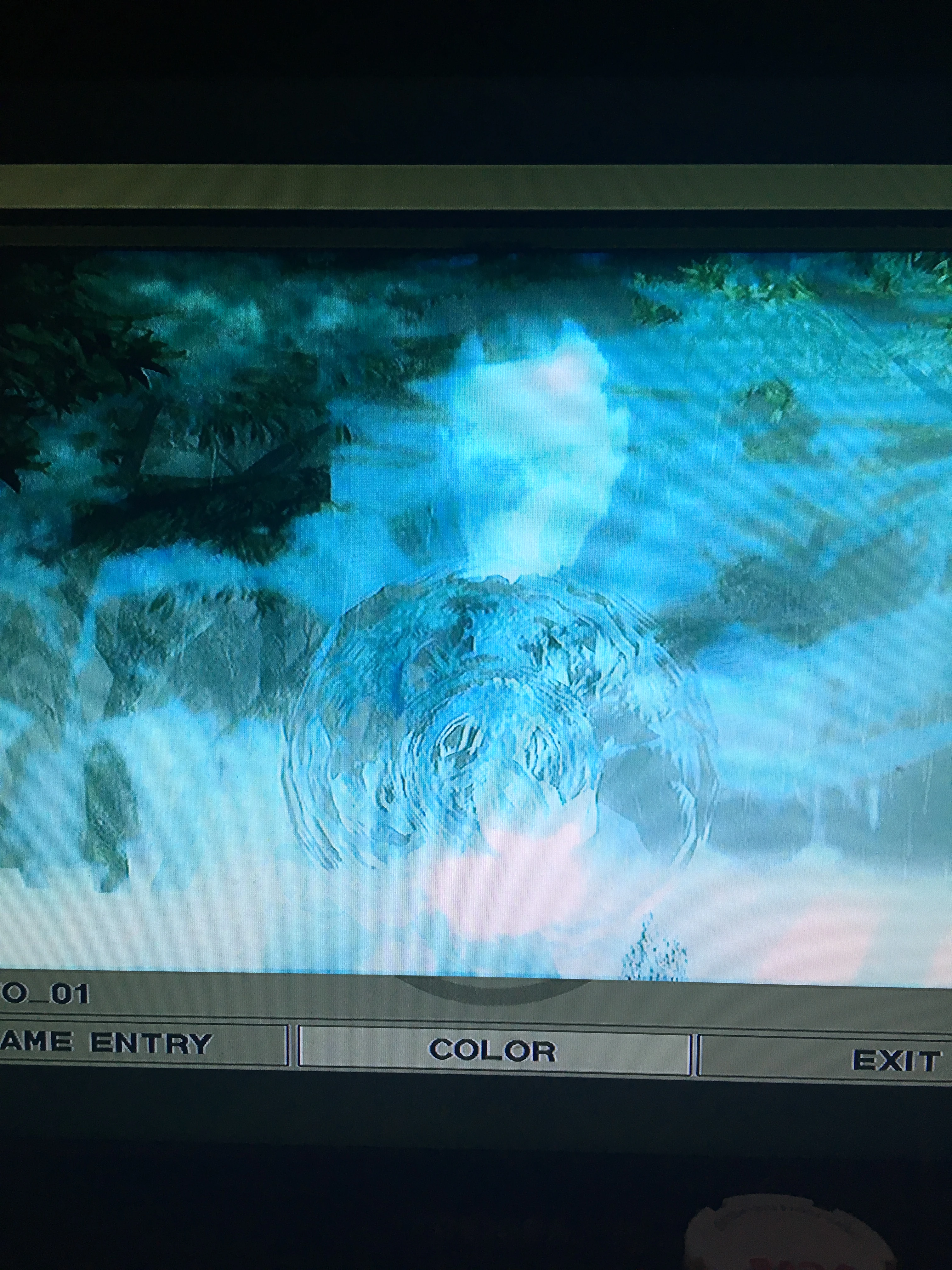 Potentially Undiscovered Easter Egg?? | Fandom