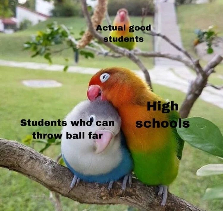Birb memes because yes | Fandom