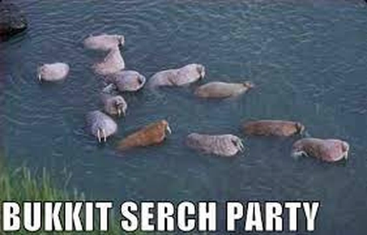 Lolrus MUs? | Fandom