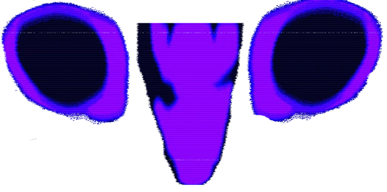 you can litterally put a black box over anything and it looks sus | Fandom