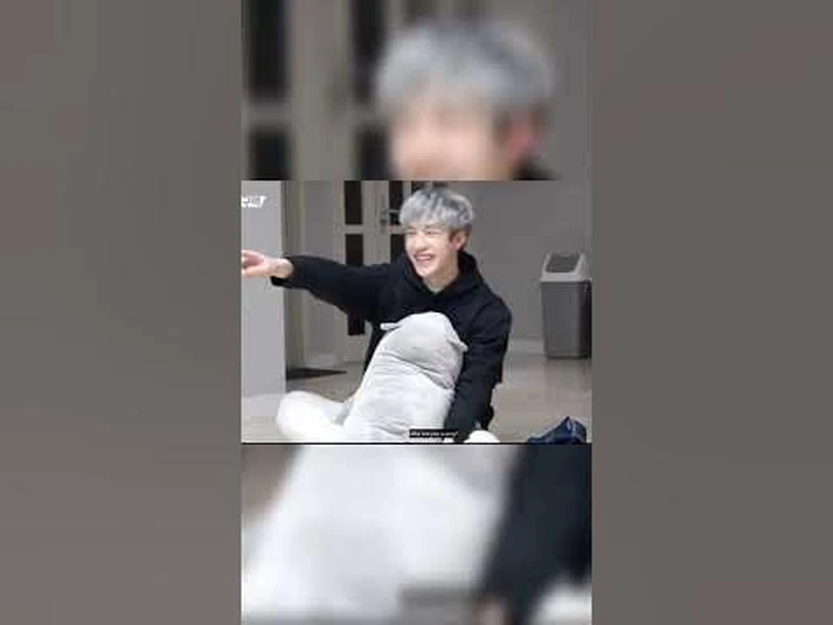 CHAN IS BEST LEADER 😭😭😭 | Fandom