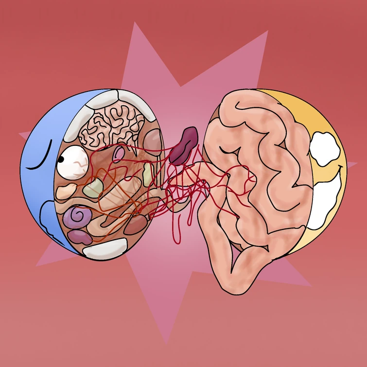 3Guh! anatomy!! TW:gutz, and lotz of it!! | Fandom