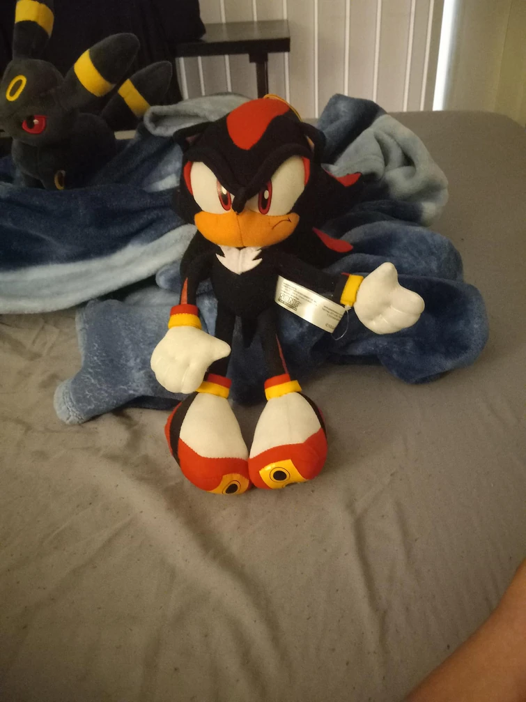 Just got this Shadow plushie today | Fandom