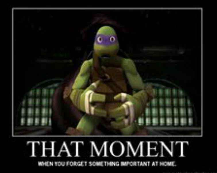 TMNT Meme Of The Day | Fandom