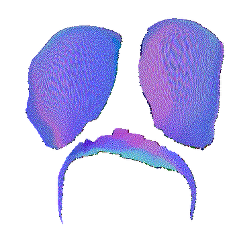 Discuss Everything About Official Kit Rooms Wiki | Fandom