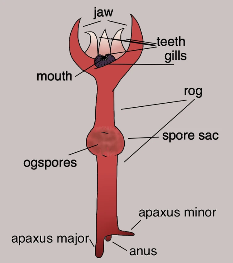 I need the suggestions | Fandom