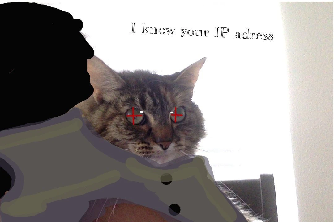 I have made a meme with my cat | Fandom