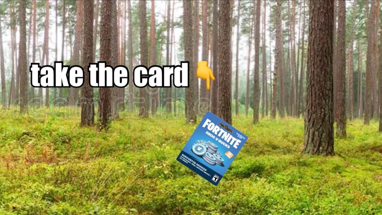 19 dollar fortnite card! | Fandom