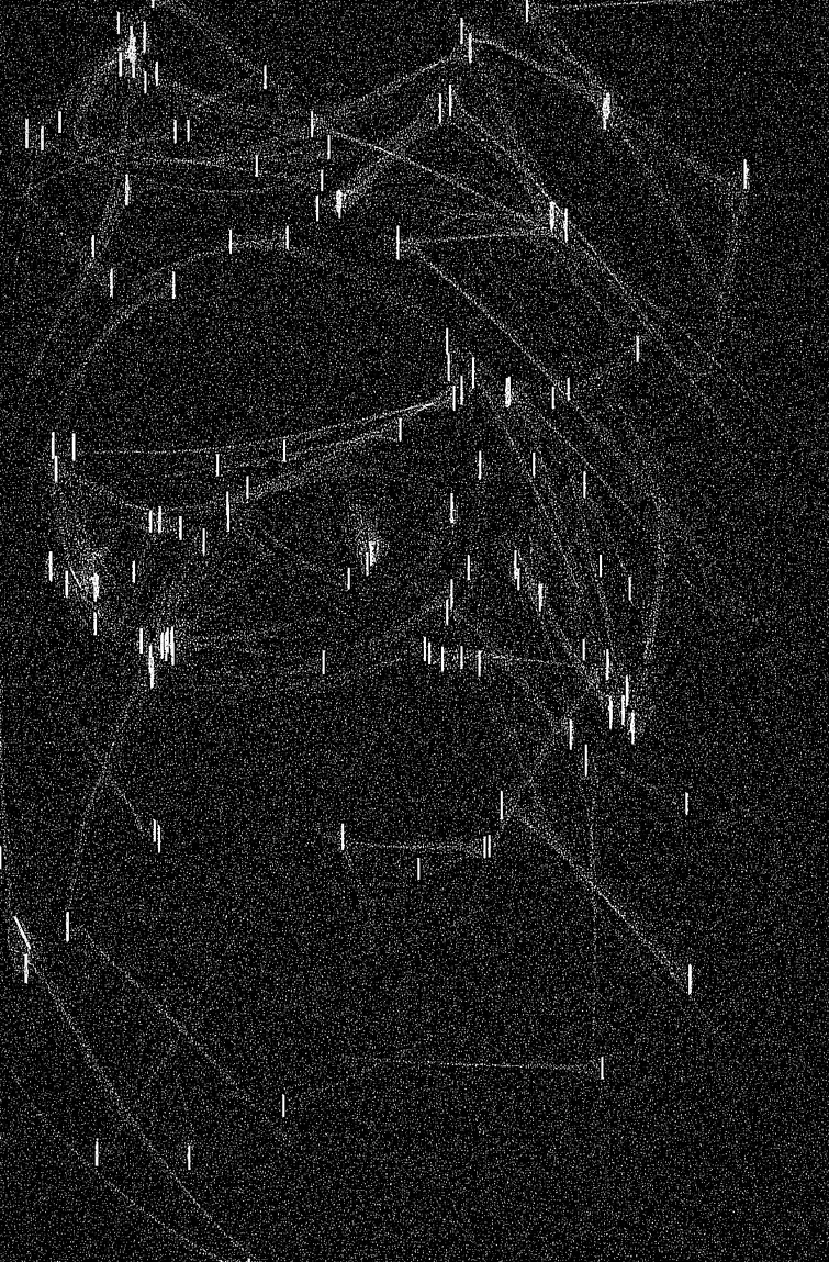 Shargin art thing | Fandom