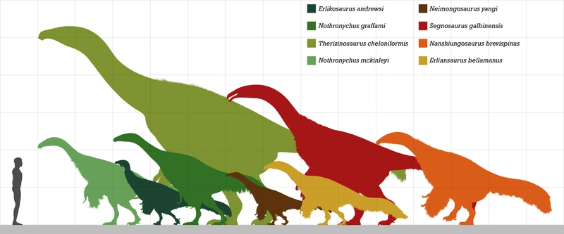 therizinosauridae size comparison | Fandom