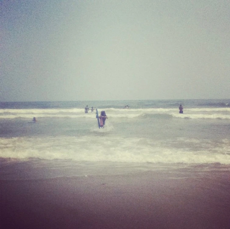 Insult the Picture Above You: The Return | Fandom