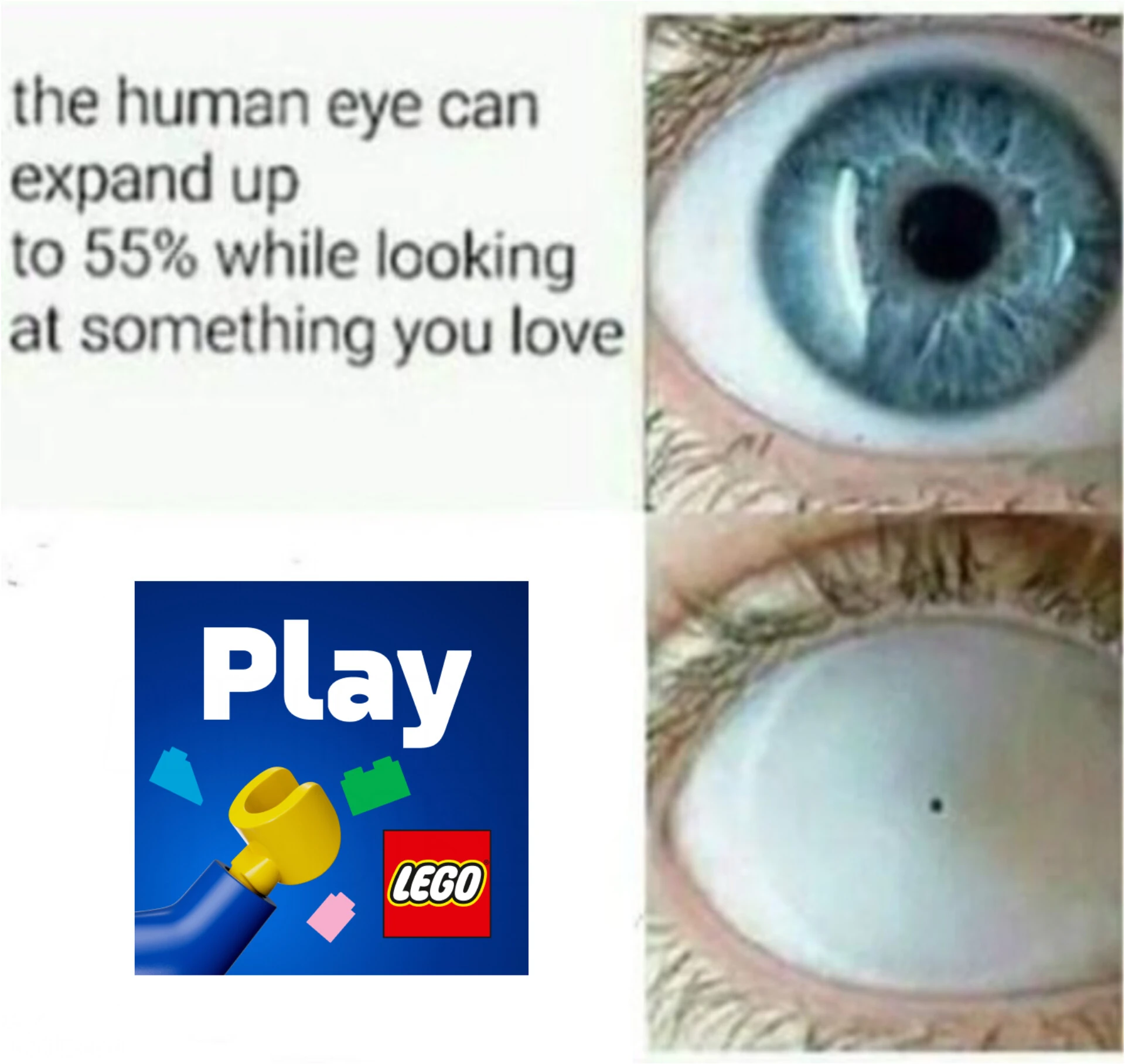 memes | Fandom