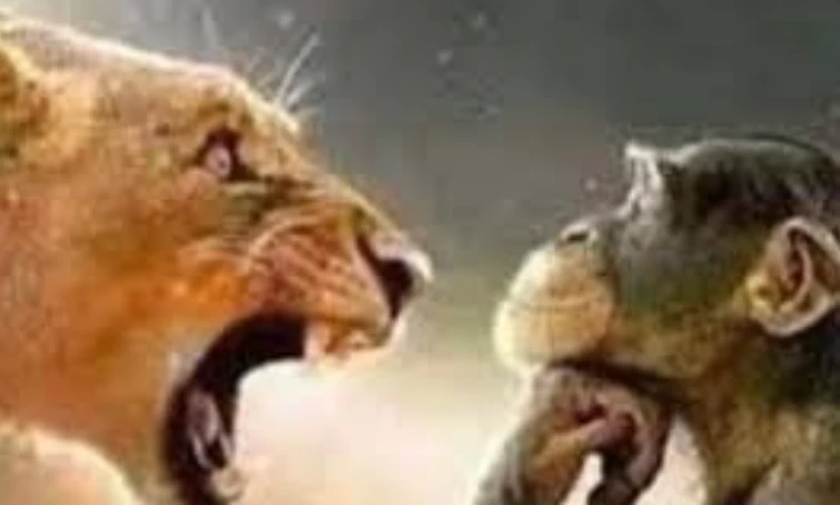 Ragebait: remastered edition | Fandom