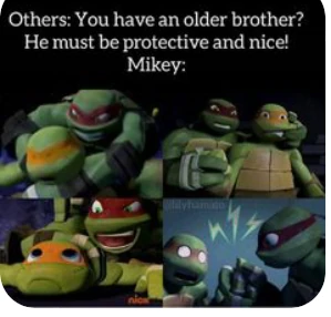 TMNT Meme Of The Day | Fandom