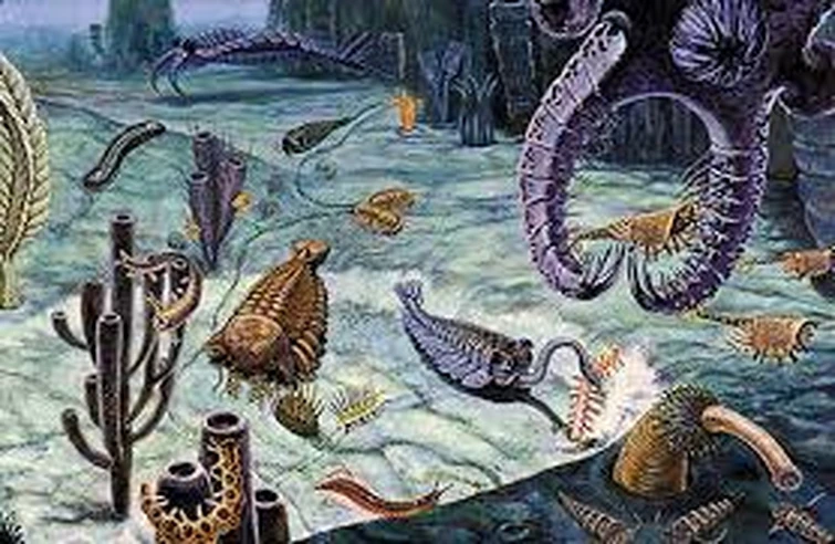 What's Best formation ever? | Fandom