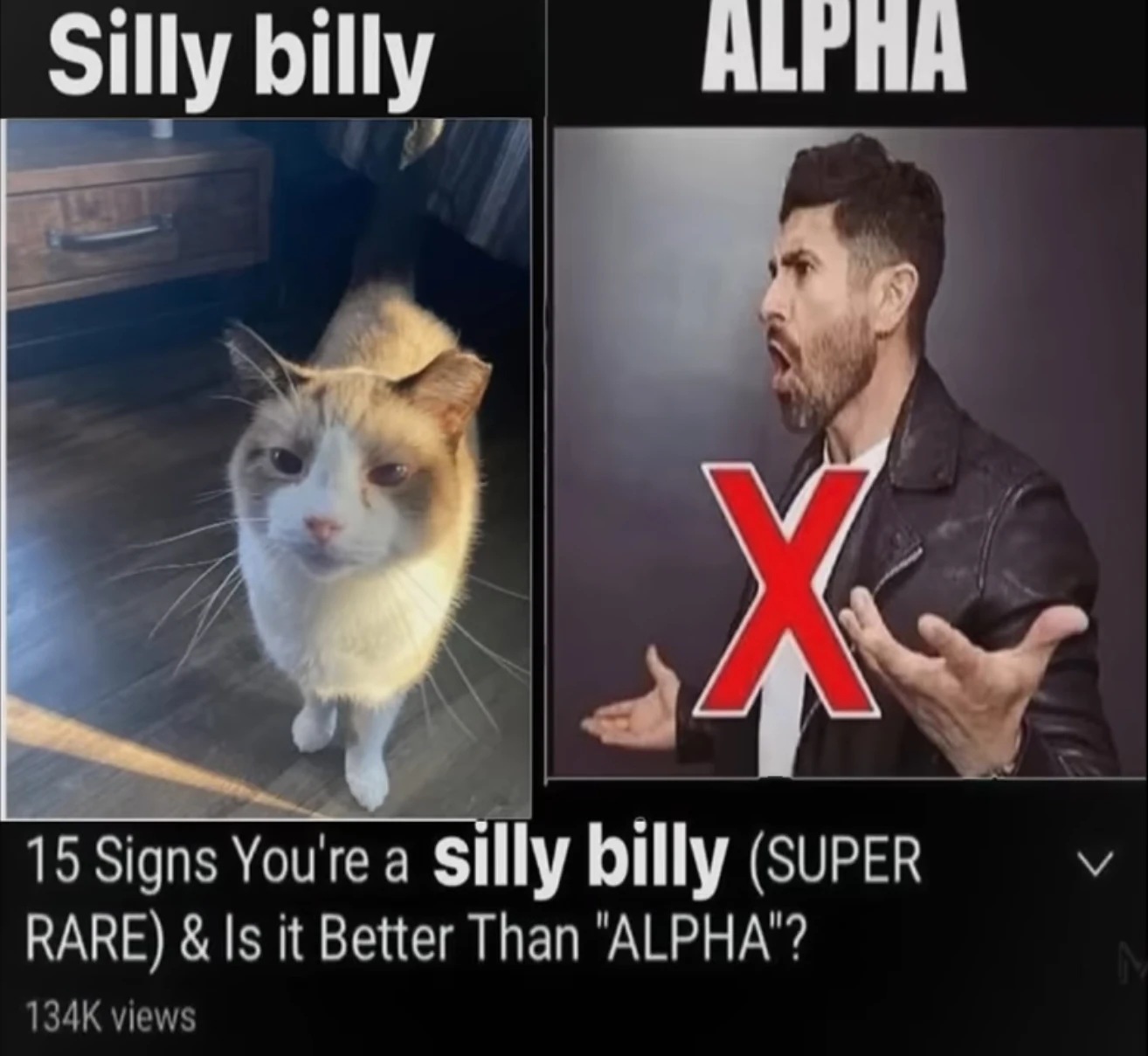 5 5️⃣ SIGNS YOUR A 😲 SILLY BILLY 😲 (SUPER RARE 😎) & IS IT BETTER THAN ...