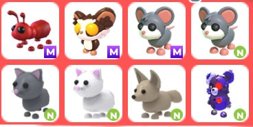 What mid tier pets should I aim for? | Fandom