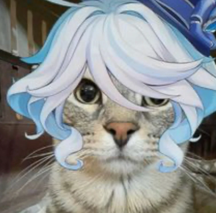 Daily Furina memes #3 | Fandom