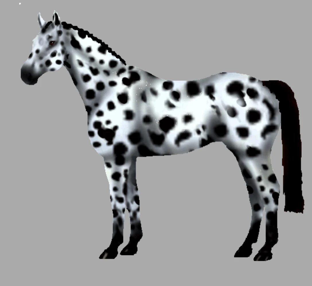 Recreating my horses in Snafflez Horse Maker!! | Fandom
