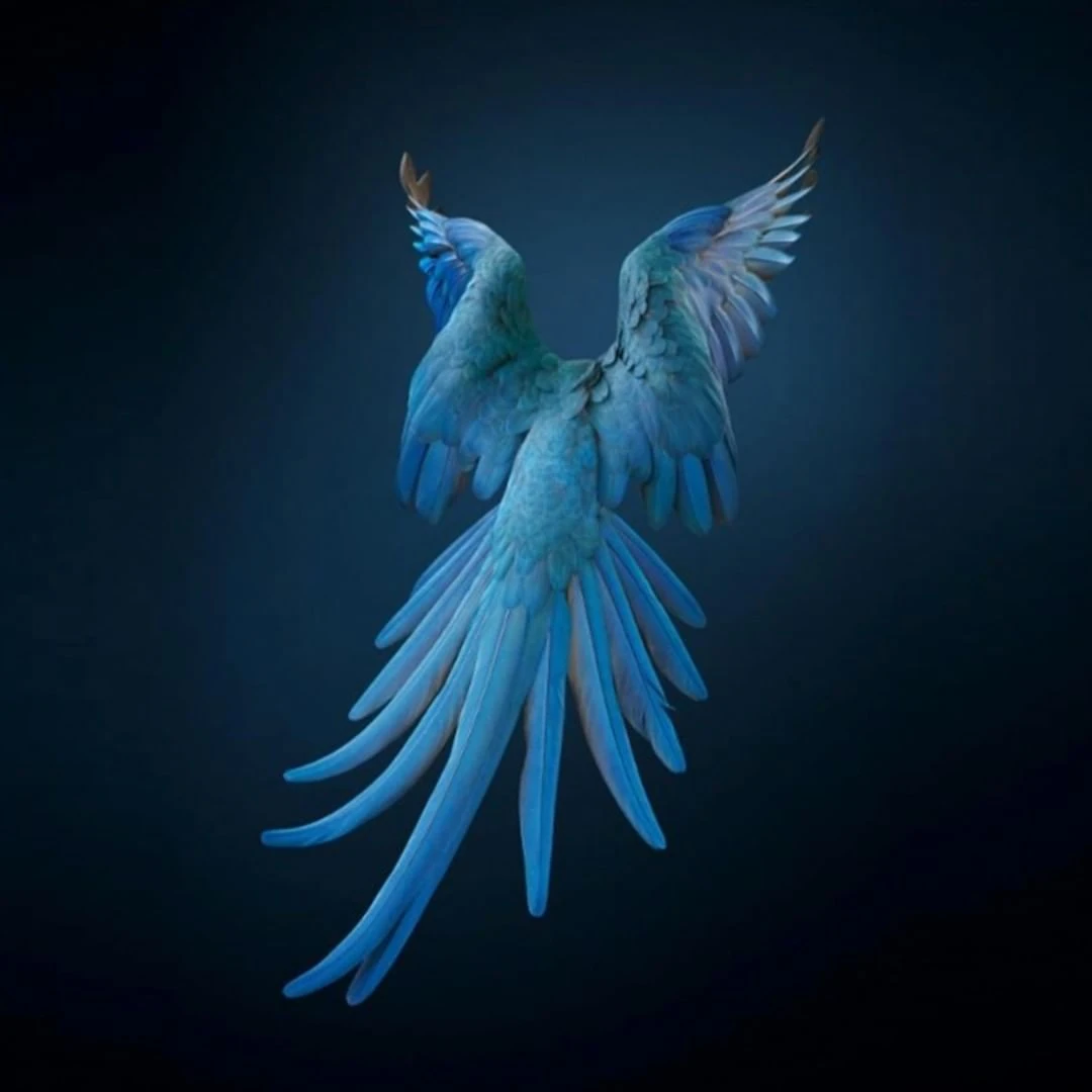 Spix macaws are no longer extinct in the wild | Fandom