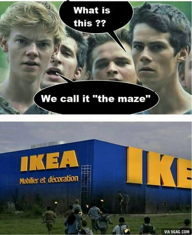Discuss Everything About The Maze Runner Wiki | Fandom