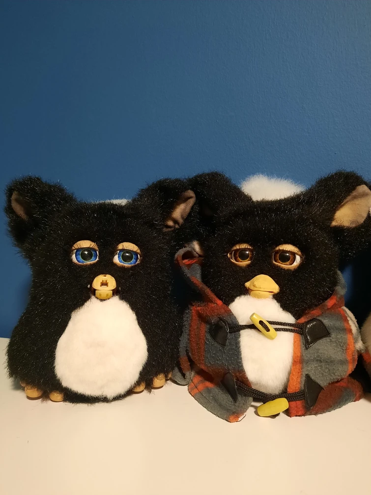Discuss Everything About Official Furby Wiki | Fandom