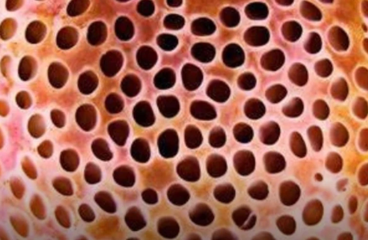 Phase 183 (CJ) remake | Fandom