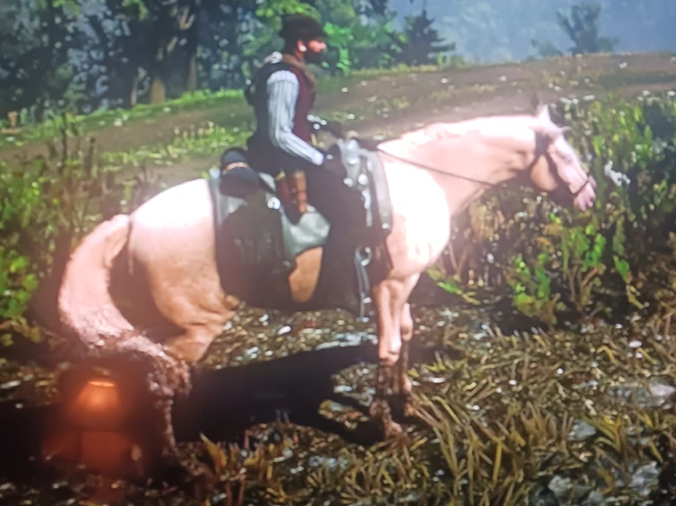 Discuss Everything About Red Dead Wiki | Fandom