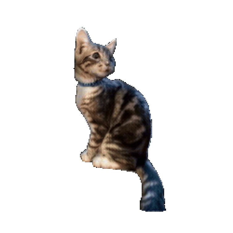 pfp contest yay :DDDD | Fandom