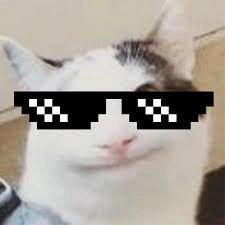 Beluga pfp | Fandom