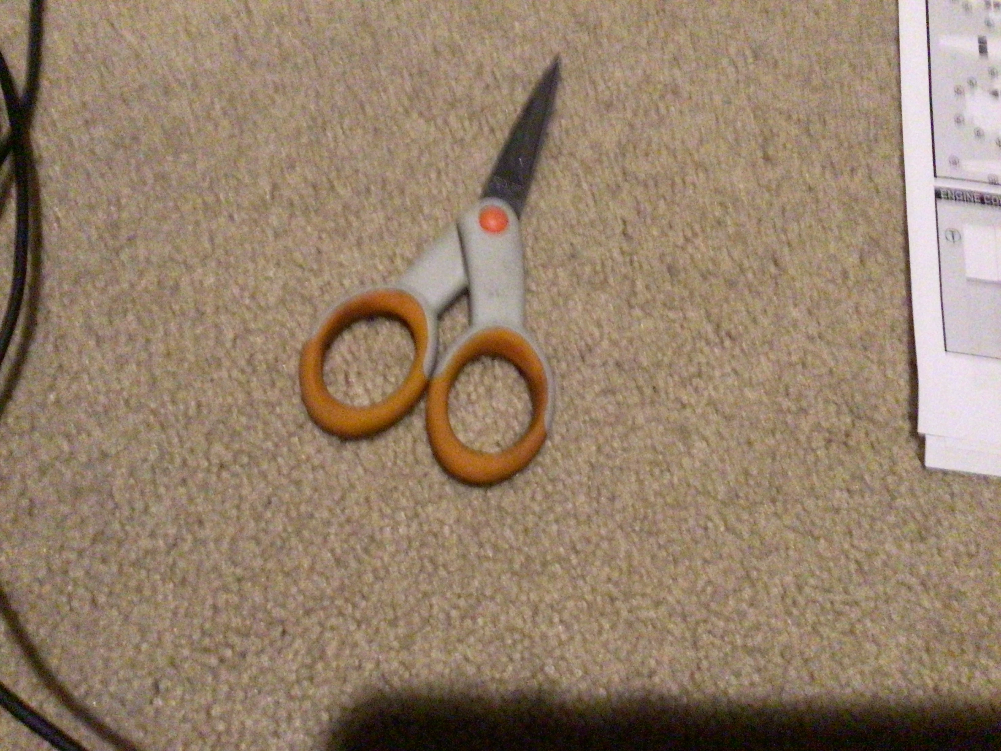 like this post 30 times and ill make the xacto scissors my pfp | Fandom