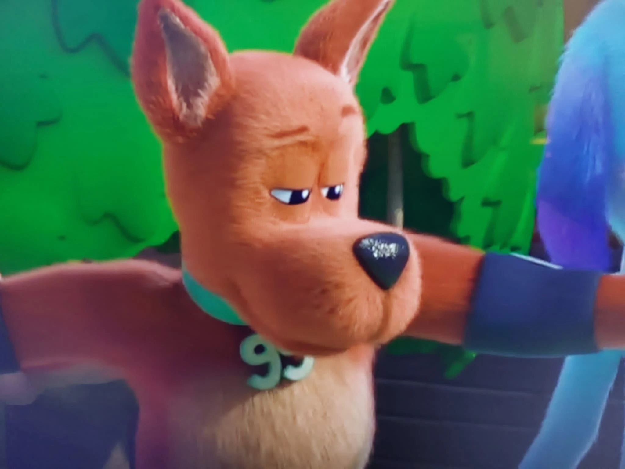 Go Dog Go | Fandom