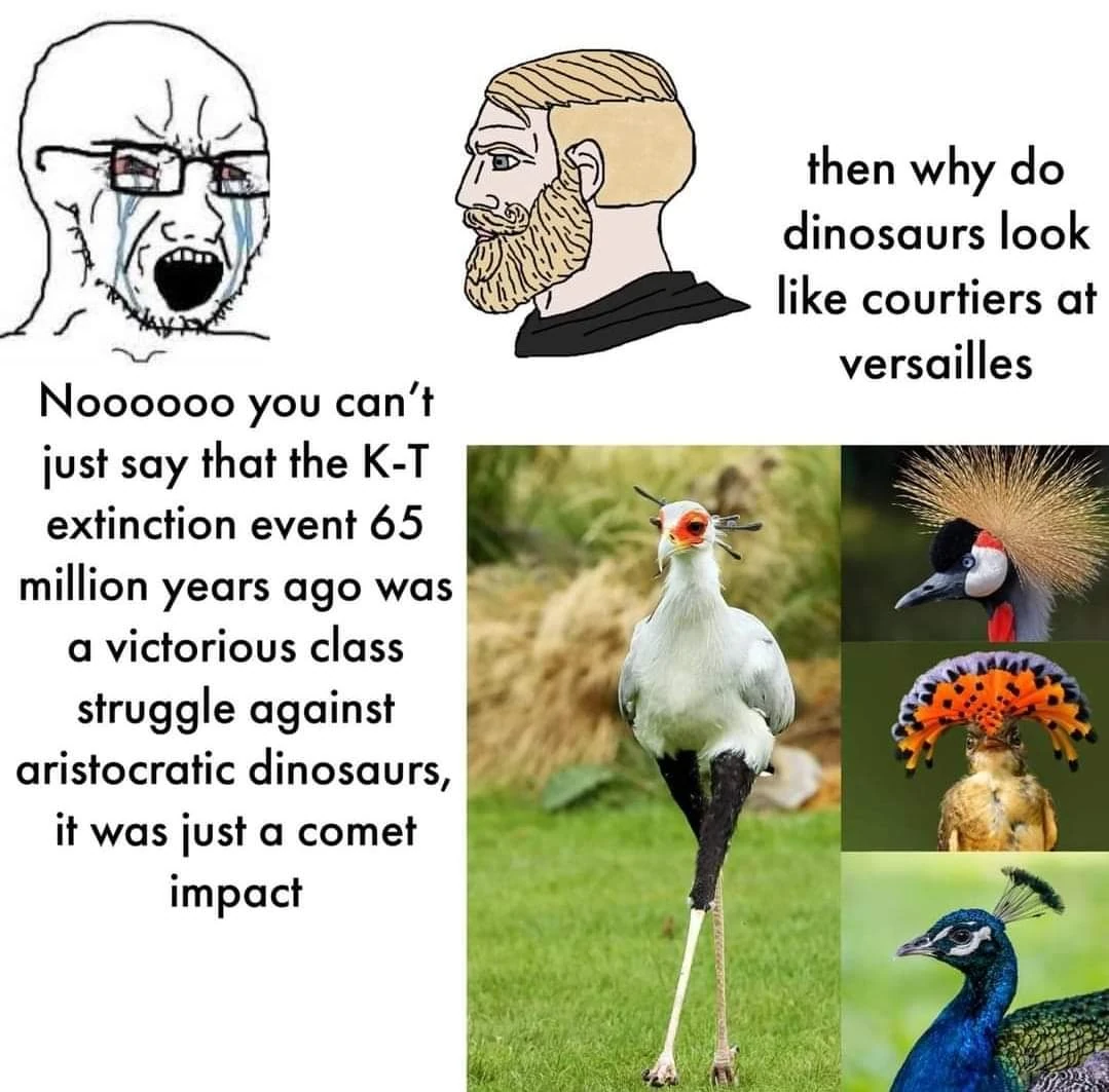 Hahah funni meme | Fandom