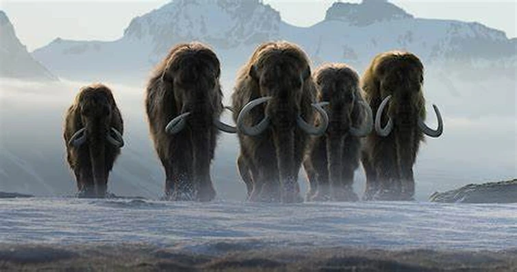 What if the Wooly Mammoth....... | Fandom