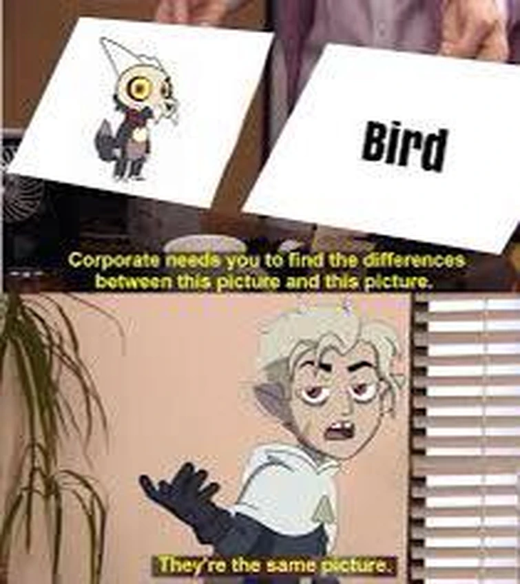 Toh meme #9 | Fandom