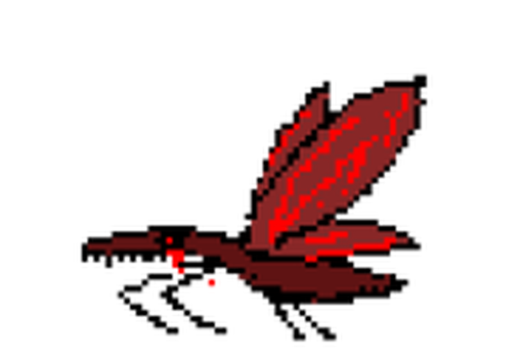 CATTO BOI MENTIONED. | Fandom