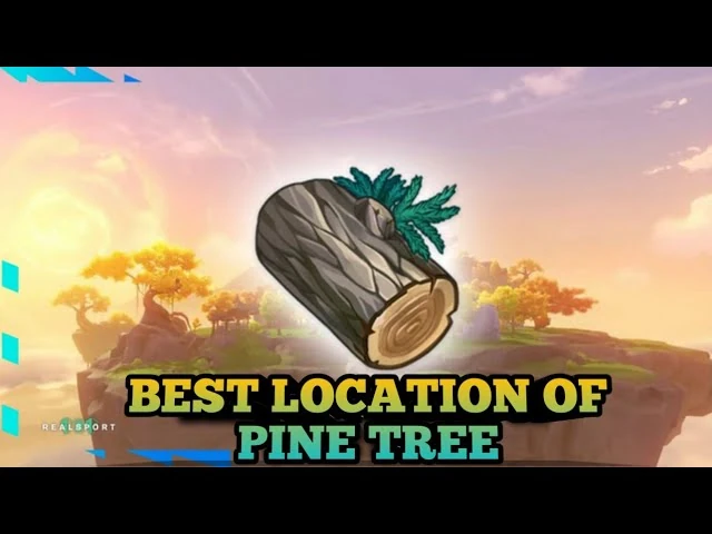 BEST LOCATION OF PINE TREE | Fandom