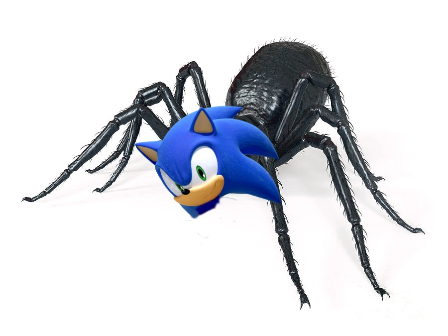 The Giant Enemy Sonic | Fandom