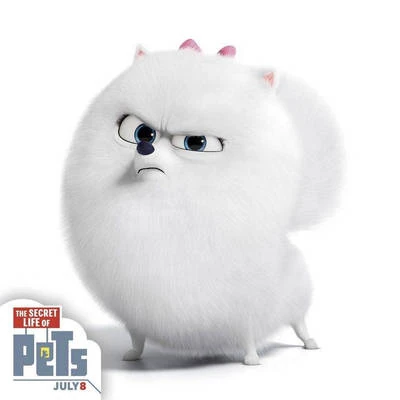 Angry Gidget | Fandom