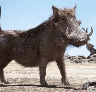 Favorite Seth Rogen Character? | Fandom