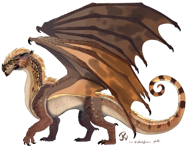 i cant decide whether i like this or not | Fandom