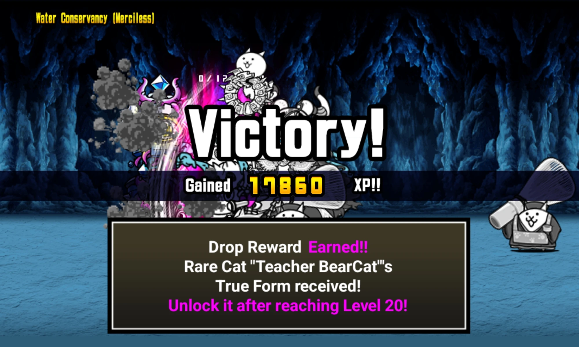 Chad bear? Chad bear | Fandom