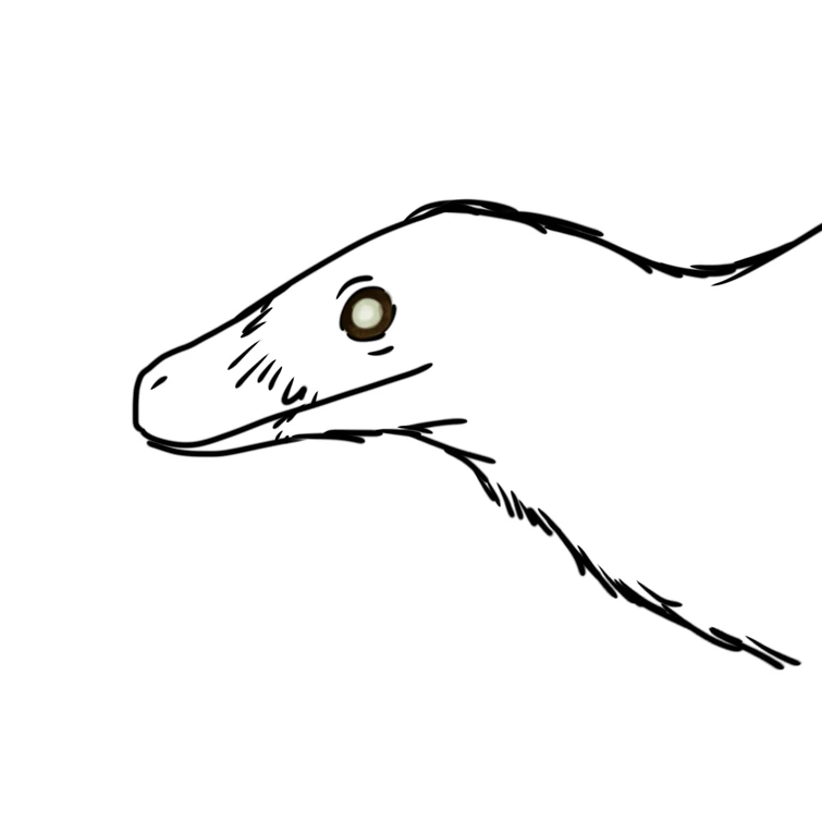 Generic dromaeosaurid with speculative tapetum lucidum | Fandom