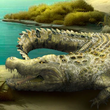 Discuss Everything About Dinopedia | Fandom