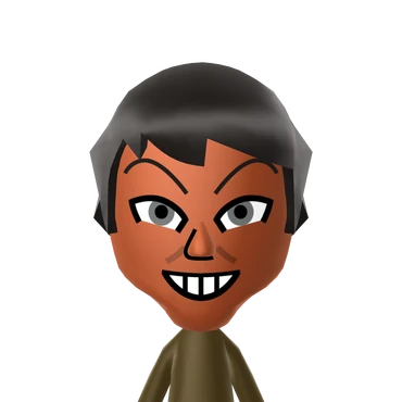 Which Partner Mii Is Better? | Fandom