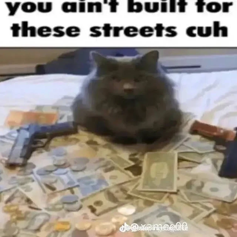 You ain't built for these streets cuh | Fandom