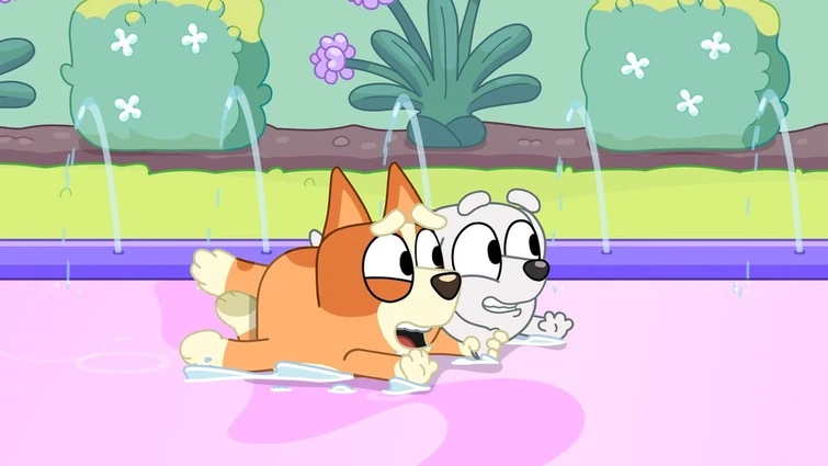 Don’t get wet! Lila and Bingo are Sliding Down The Slip And Slide In ...