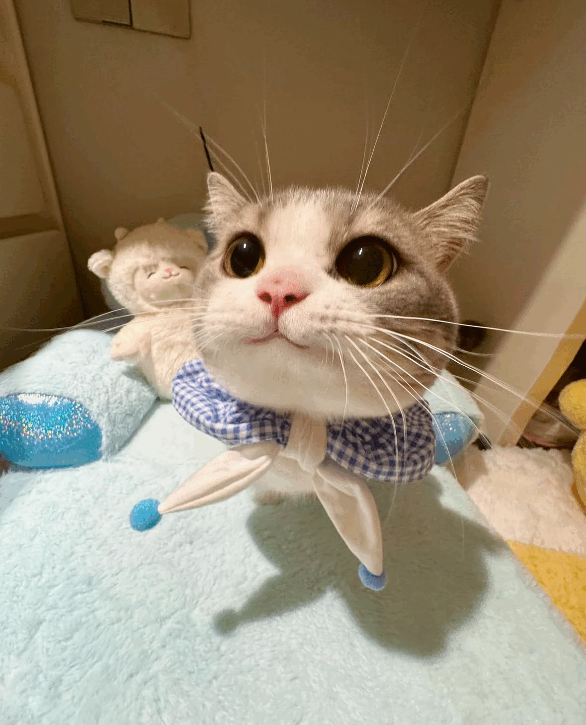 yall dragging the cybro stuff | Fandom